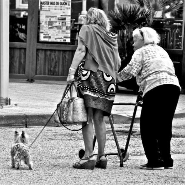 LADY COMPANION: Offer accommodation in exchange for service ...